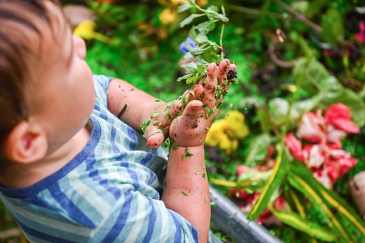 The Early Years Learning Framework (EYLF) Update