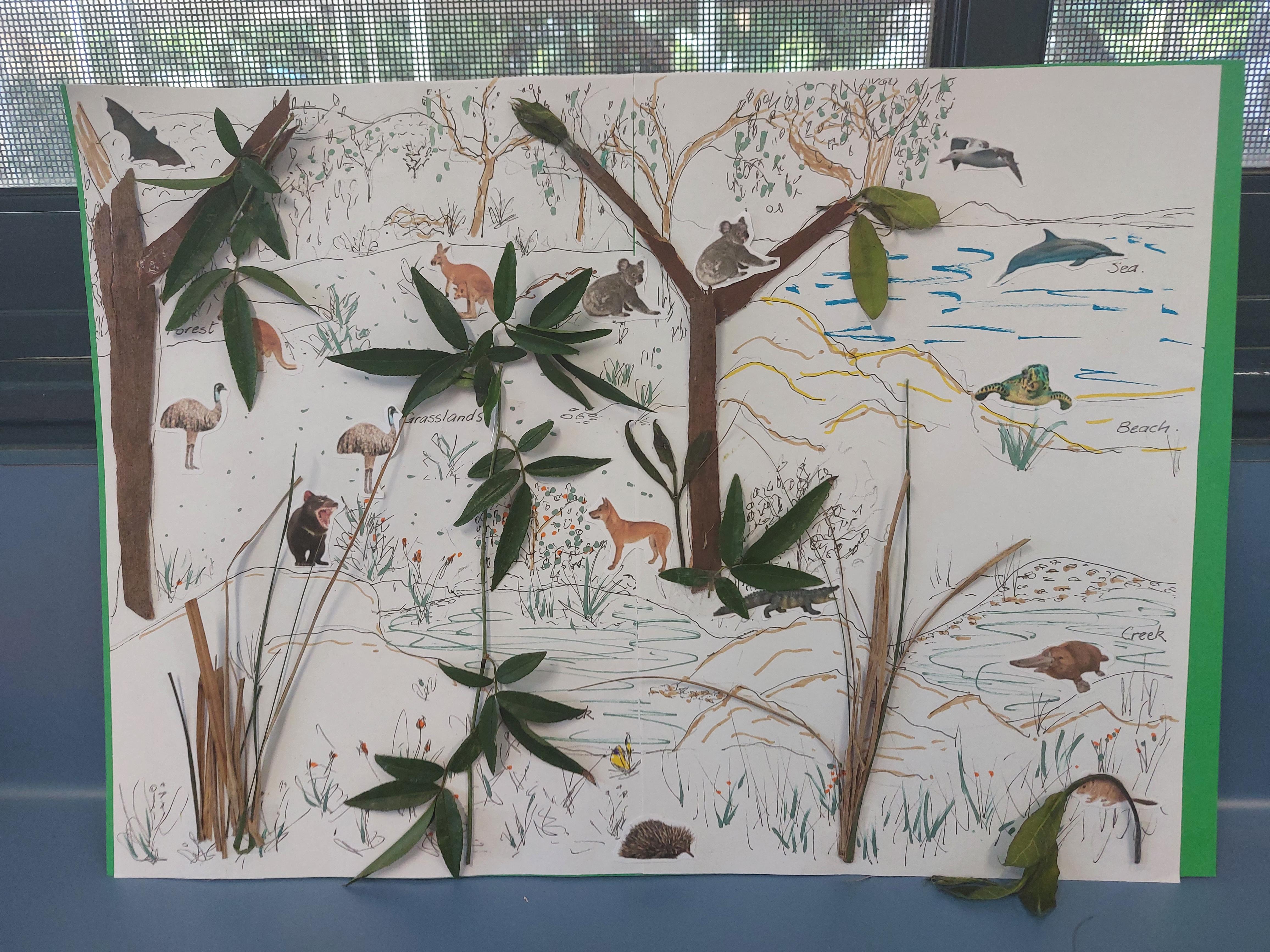 Moggill State School Playgroup